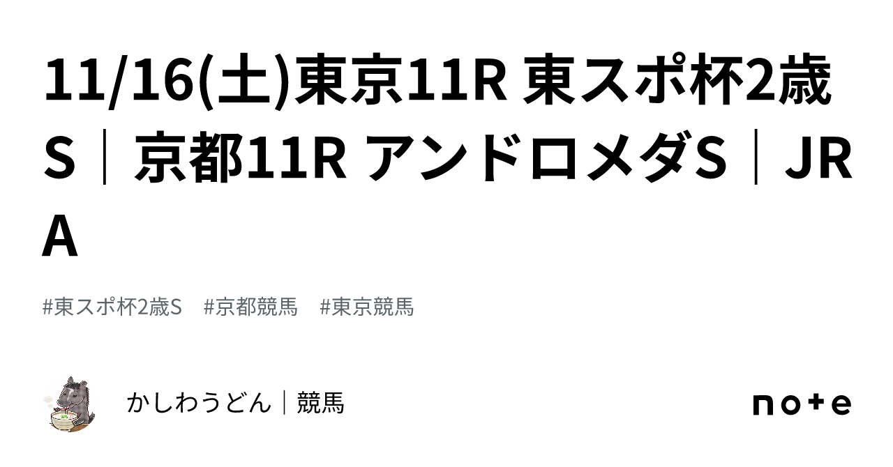 11/16(土)東京11R 東スポ杯2歳S｜京都11R アンドロメダS｜JRA｜かしわうどん｜競馬