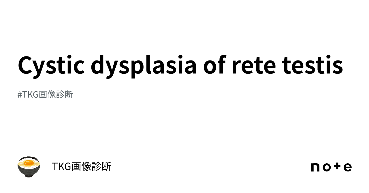 Cystic dysplasia of rete testis ｜TKG画像診断