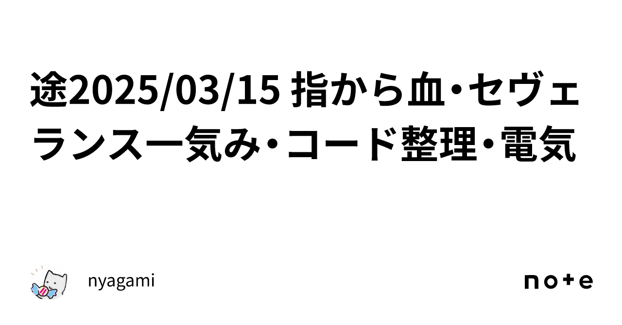 途2025/03/15 指から血・セヴェランス一気み・コード整理・電気｜nyagami