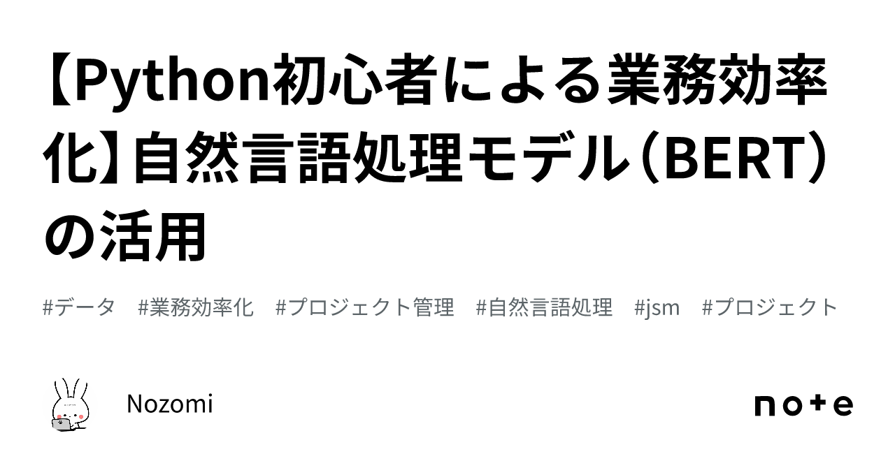 【Python初心者による業務効率化】自然言語処理モデル（BERT）の活用｜Nozomi