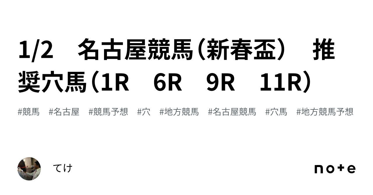 1/2 名古屋競馬（新春盃） 推奨穴馬（1R 6R 9R 11R）｜てけ