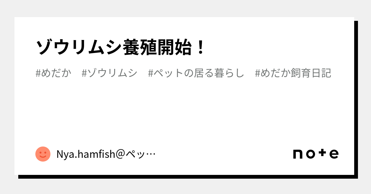 ゾウリムシ養殖開始！｜Nya.hamfish＠ペットチャンネル始動！