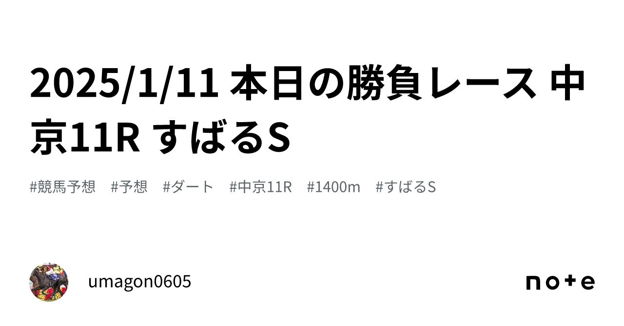 2025/1/11 本日の勝負レース 中京11R すばるS｜umagon0605