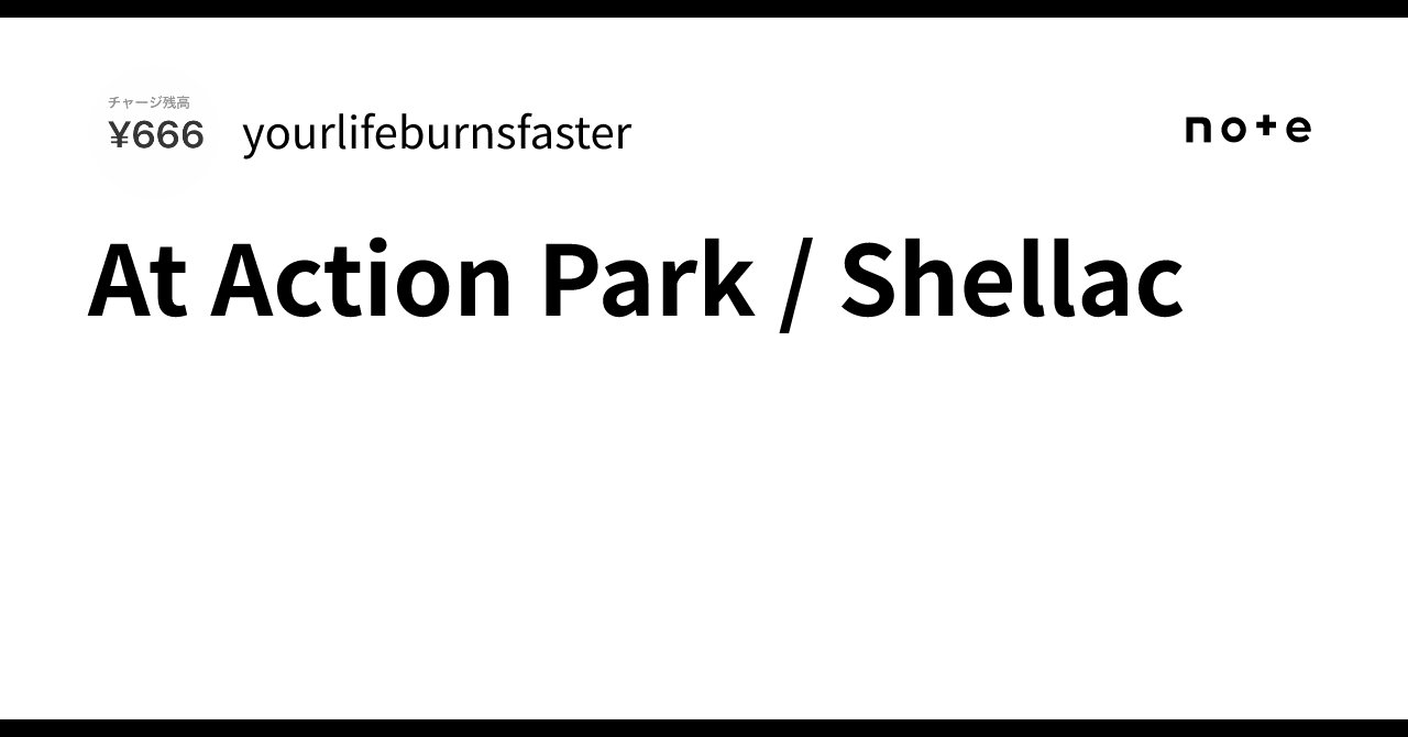 At Action Park / Shellac｜yourlifeburnsfaster