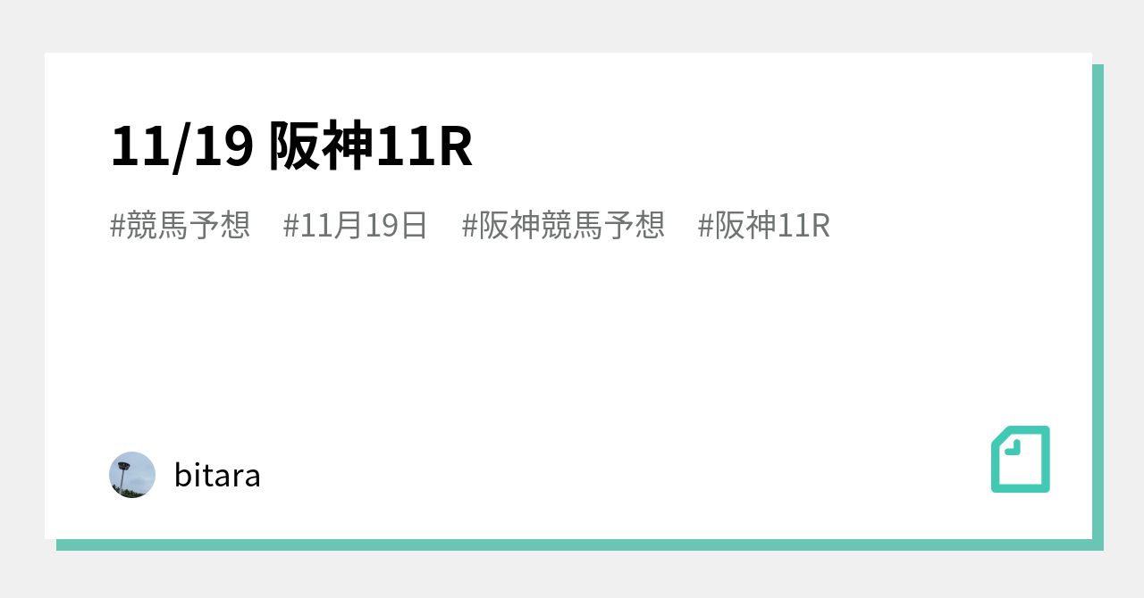 11/19 阪神11R｜bitara競馬