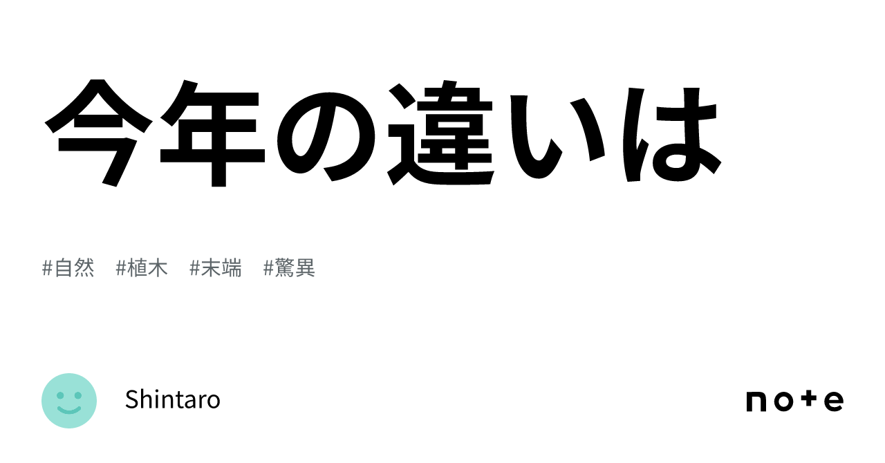 今年の違いは｜Shintaro