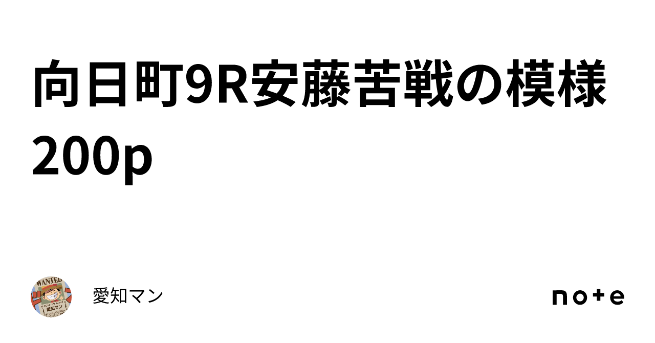 向日町9R安藤苦戦の模様200p｜愛知マン