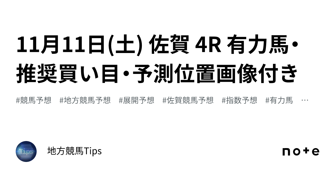 11月11日(土) 佐賀 4R 有力馬・推奨買い目・予測位置画像付き｜地方競馬Tips