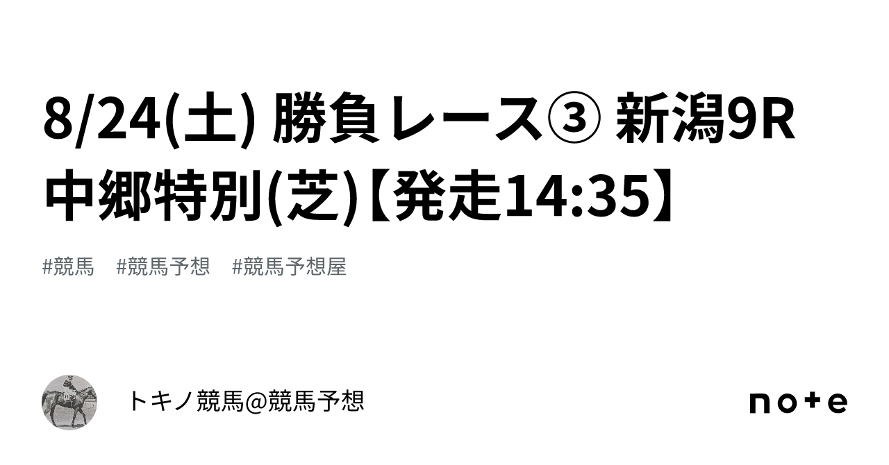 8/24(土) 勝負レース③ 新潟9R 中郷特別(芝)【発走14:35】｜トキノ競馬@競馬予想