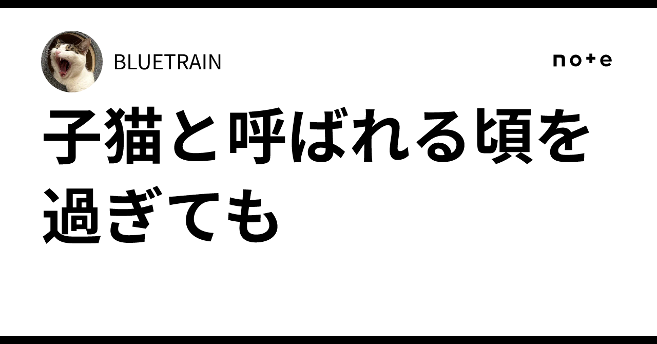 子猫と呼ばれる頃を過ぎても｜BLUETRAIN