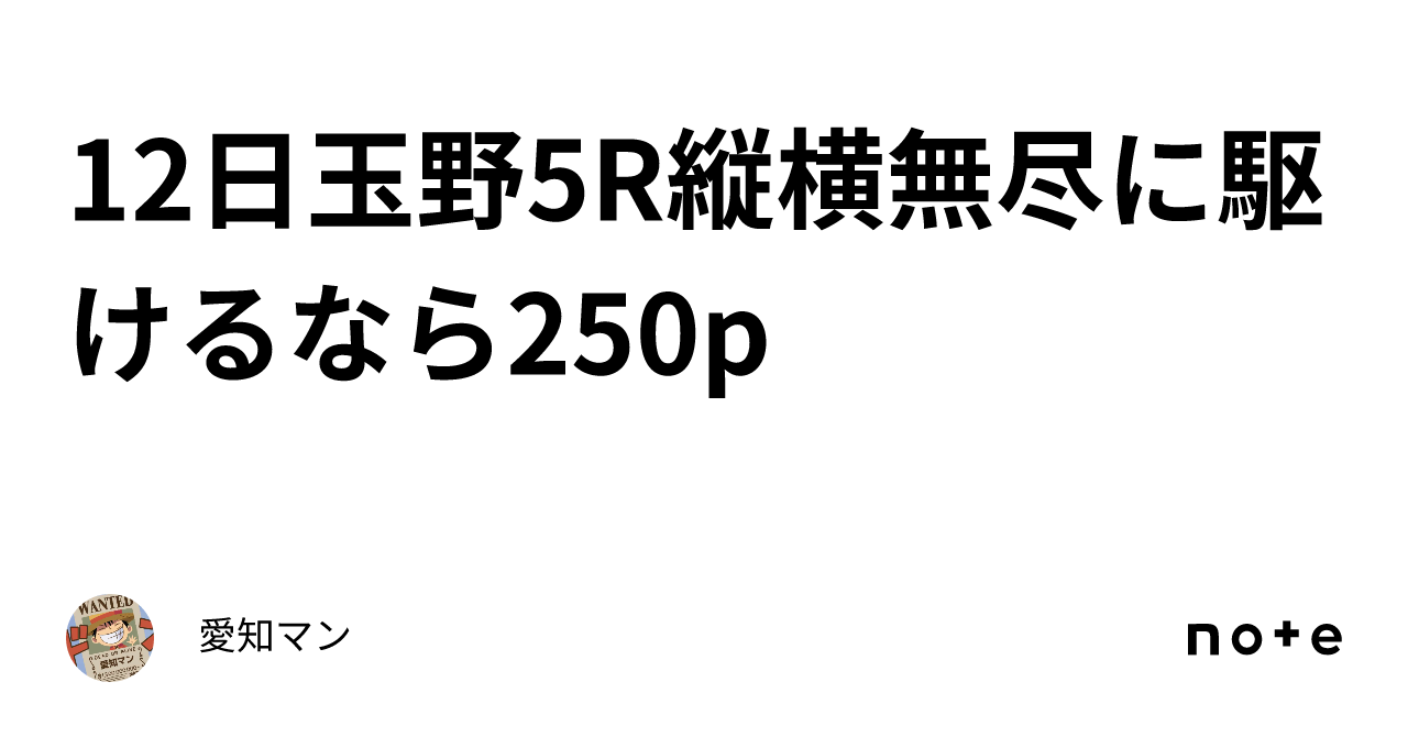 12日玉野5R縦横無尽に駆けるなら250p｜愛知マン