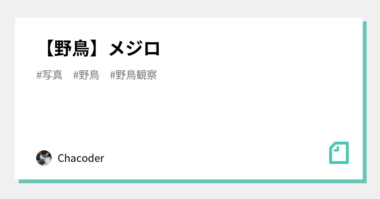【野鳥】メジロ｜Chacoder