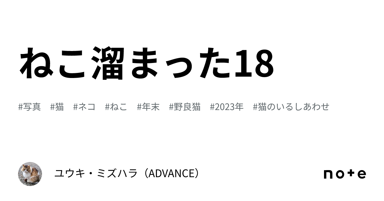 ねこ溜まった18｜ユウキ・ミズハラ（ADVANCE）