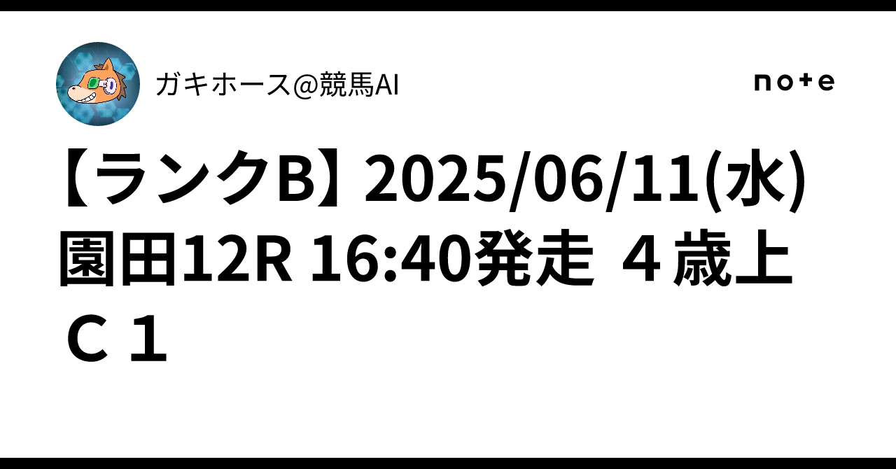 【ランクB】 2025/06/11(水) 園田12R 16:40発走 4歳上C1 ｜ガキホース@競馬AI