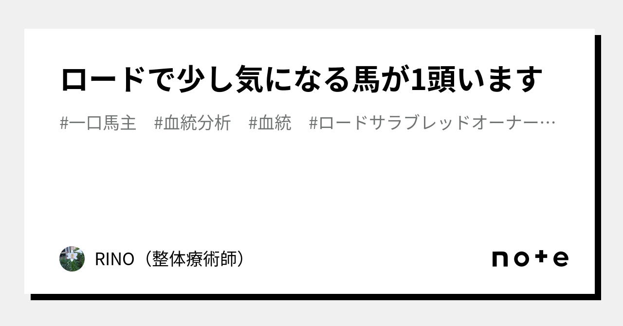 ロードで少し気になる馬が1頭います｜RINO（整体療術師）｜note