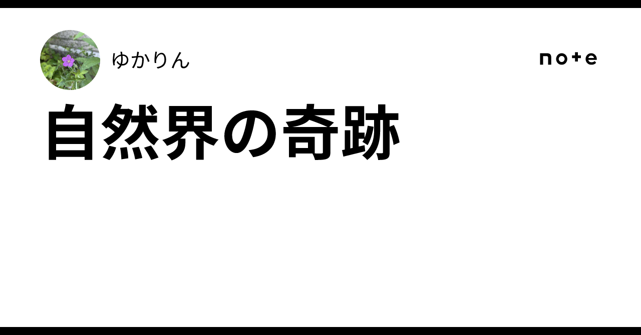 自然界の奇跡 ｜ゆかりん