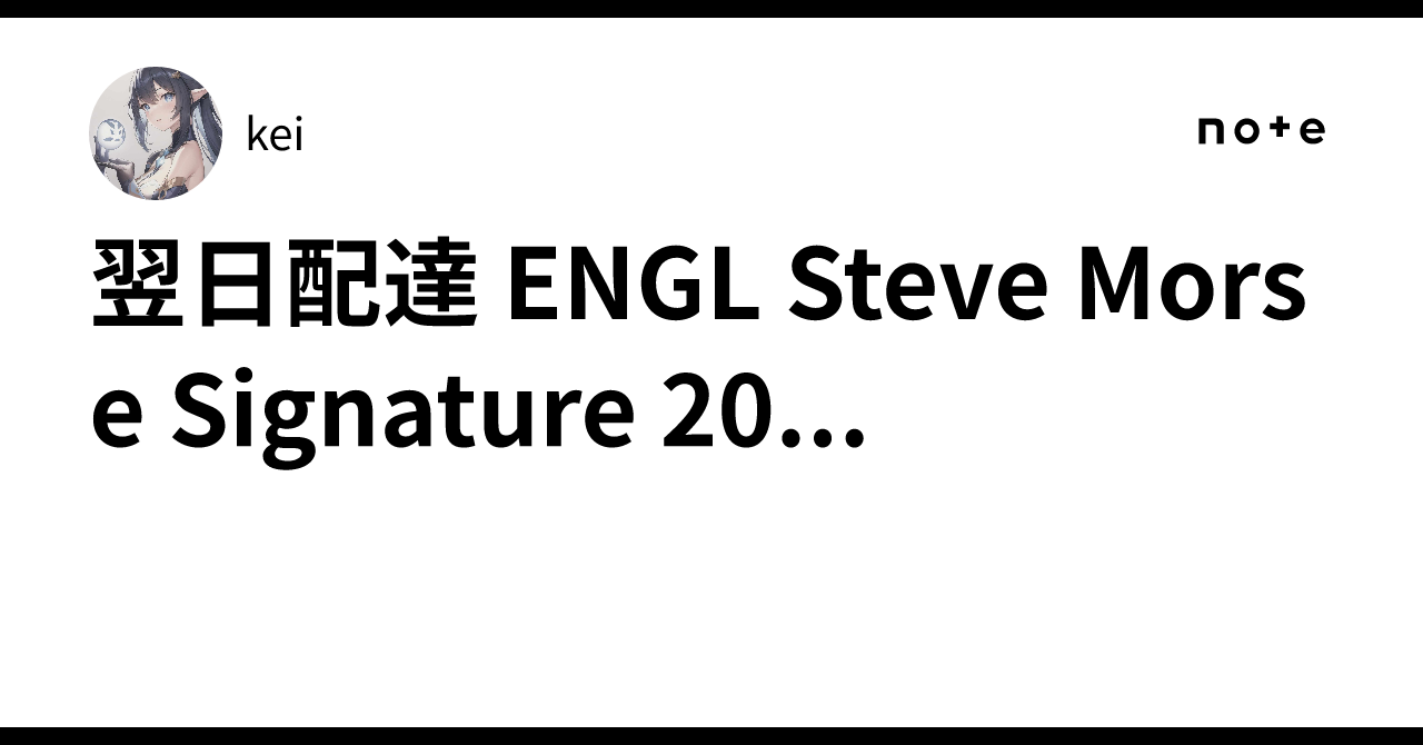 翌日配達 ENGL Steve Morse Signature 20...｜kei