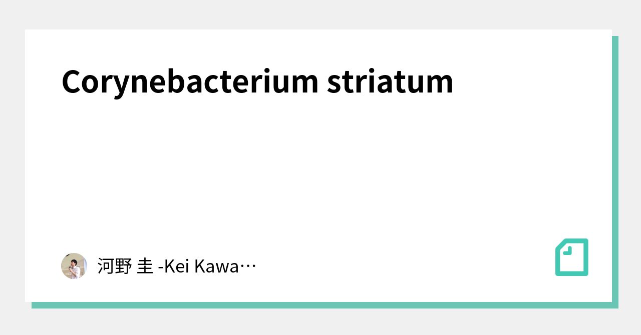 Corynebacterium striatum｜河野 圭 -Kei Kawano-