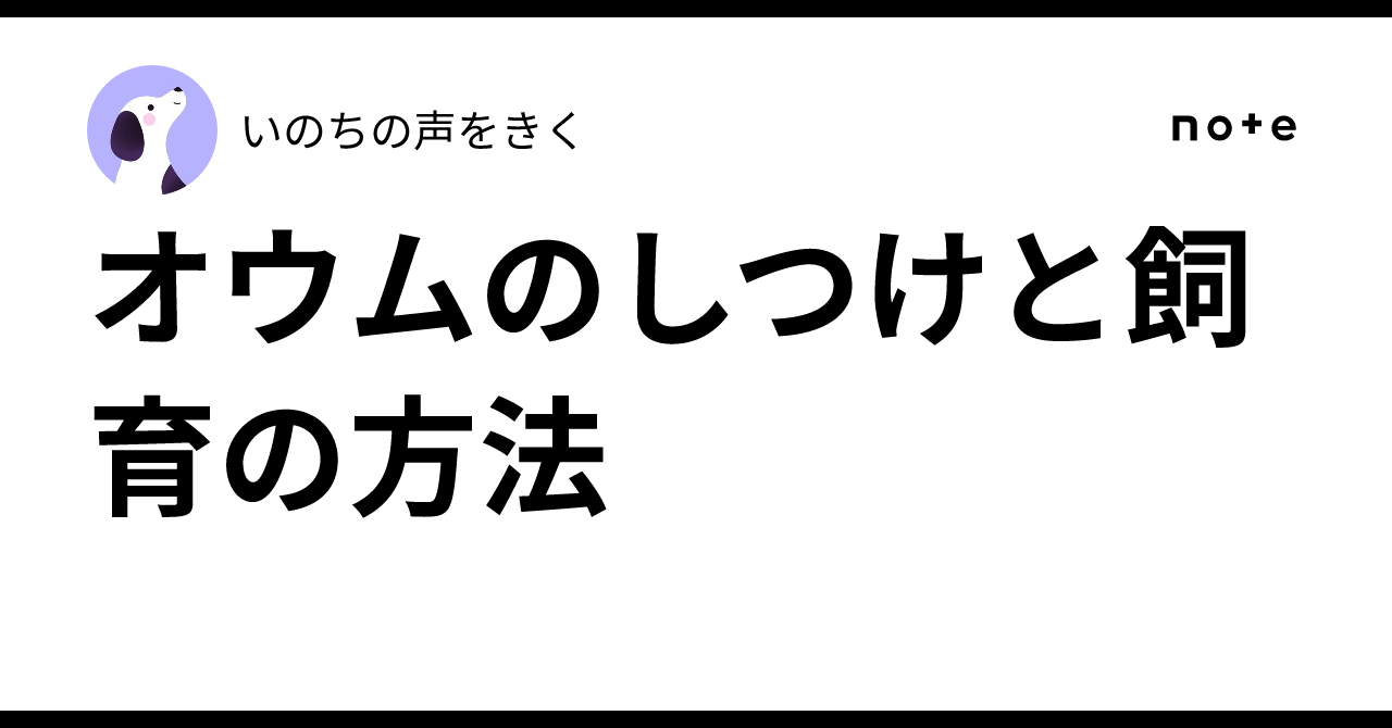 オウムのしつけと飼育の方法｜いのちの声をきく