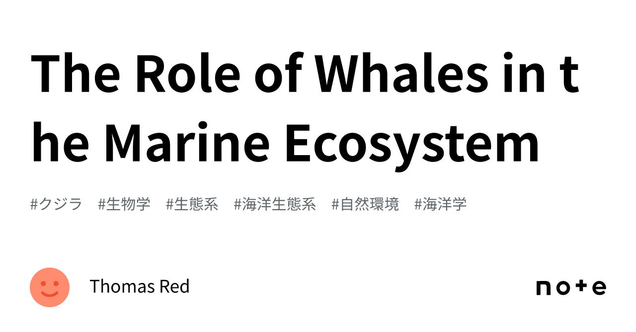 The Role of Whales in the Marine Ecosystem｜Thomas Red