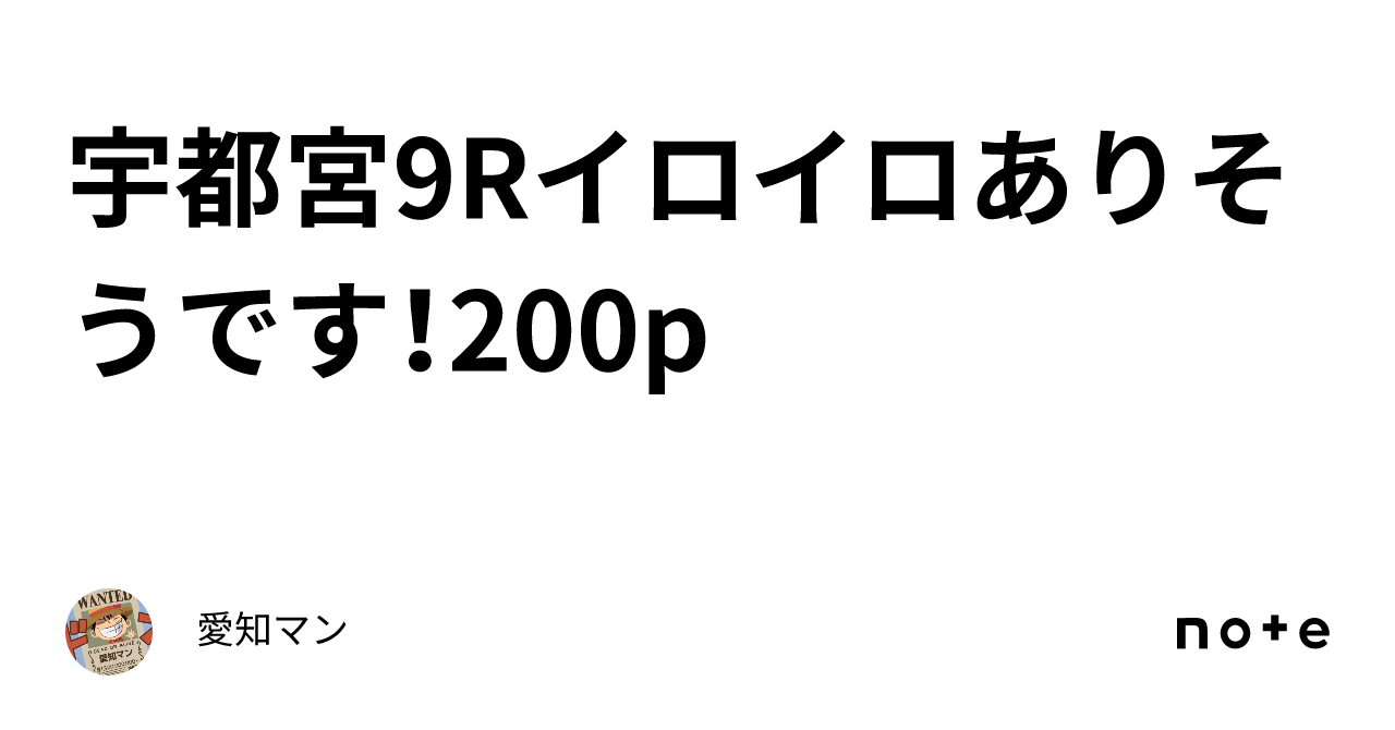 宇都宮9Rイロイロありそうです！200p｜愛知マン