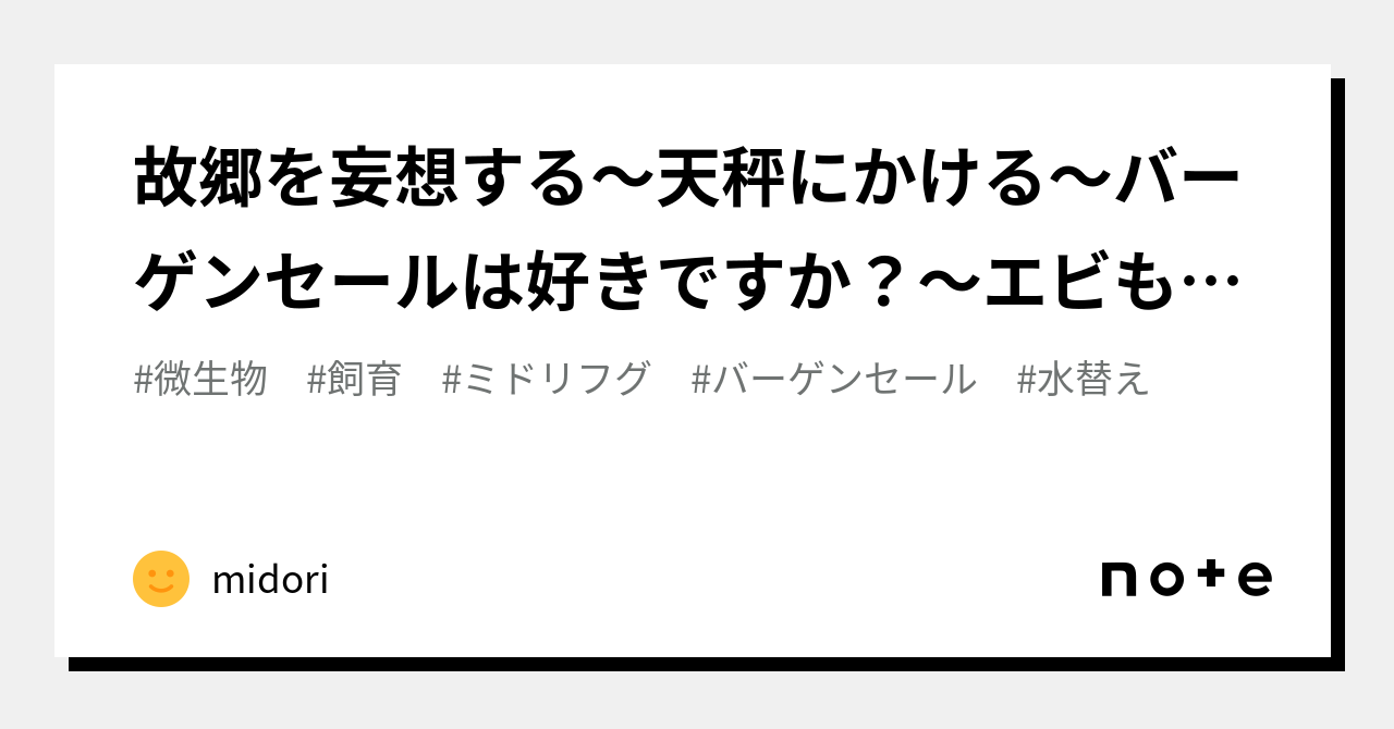 故郷を妄想する～天秤にかける～バーゲンセールは好きですか？～エビもまた出るよ～第三章～今日も書くぞー！｜midori｜note