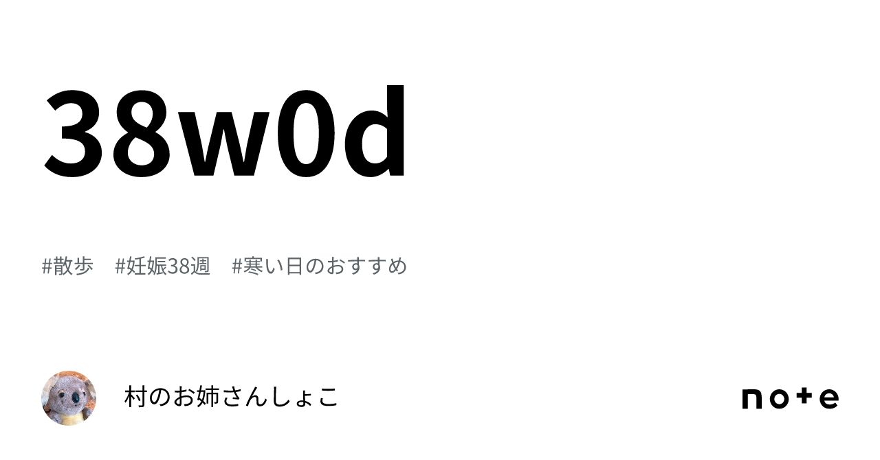 38w0d 寒い日の散歩｜村のお姉さんしょこ