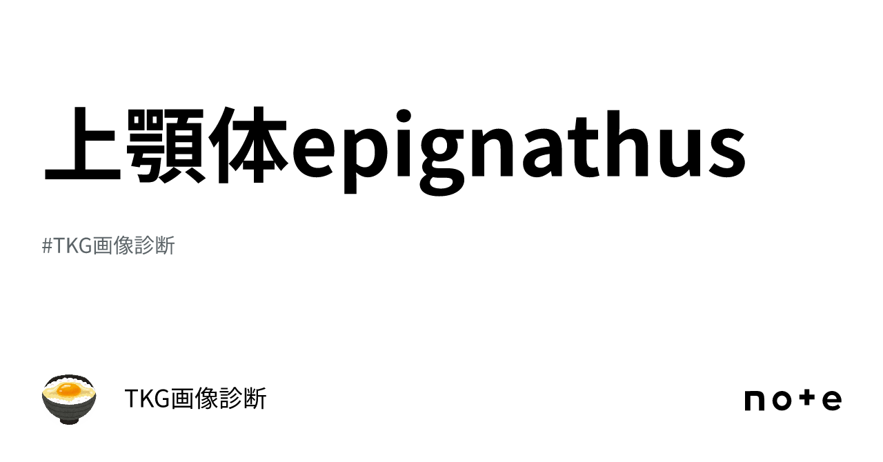 上顎体epignathus｜TKG画像診断