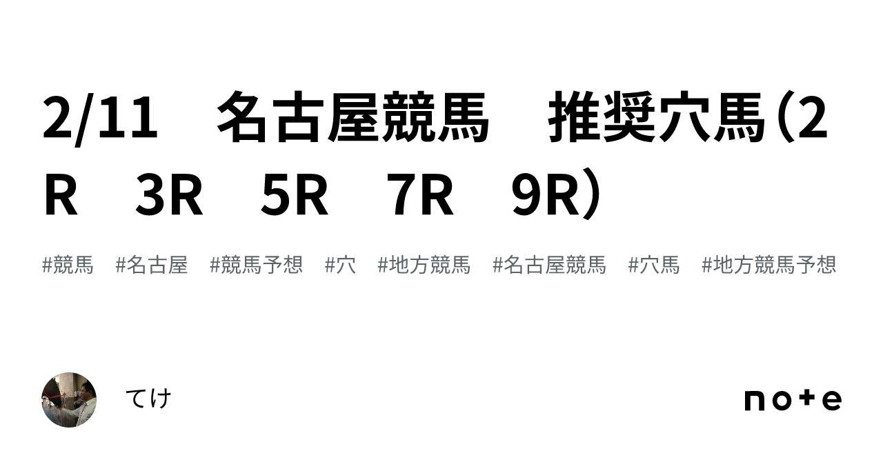2/11 名古屋競馬 推奨穴馬（2R 3R 5R 7R 9R）｜てけ