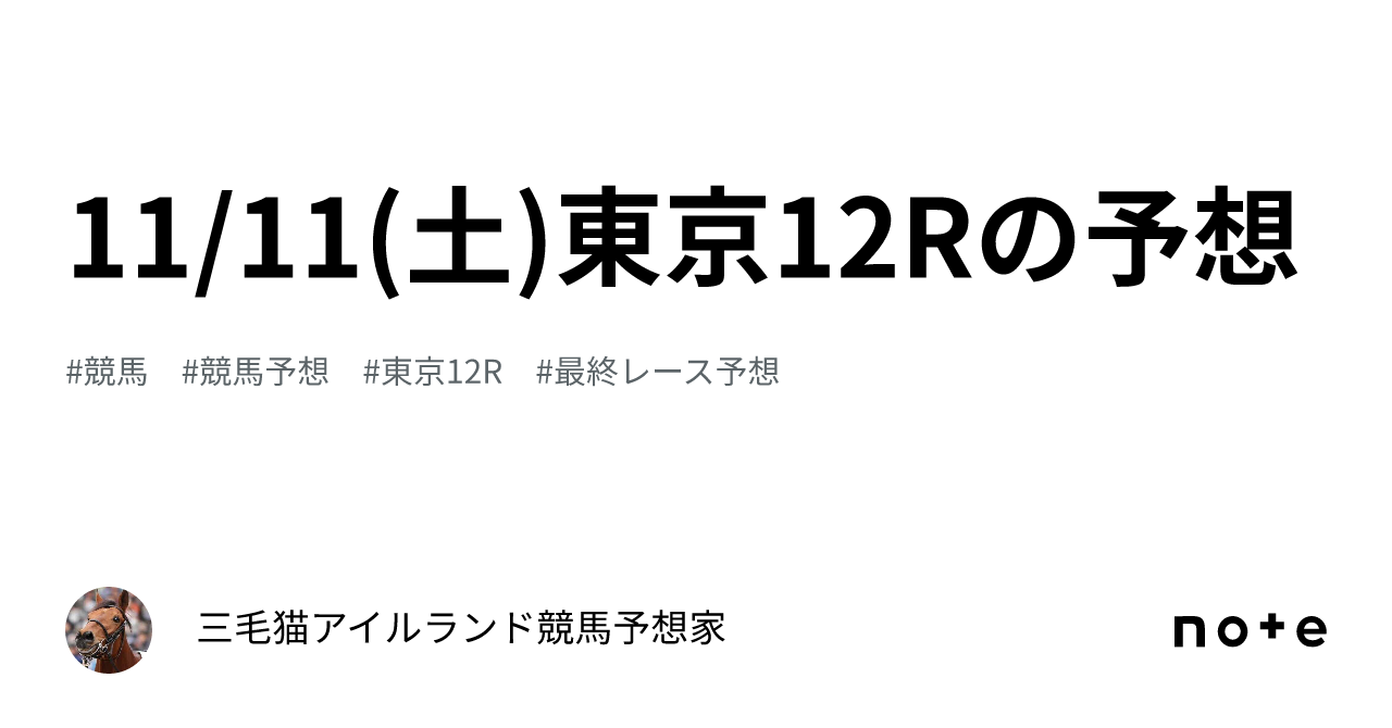 11/11(土)東京12Rの予想｜三毛猫アイルランド競馬予想家