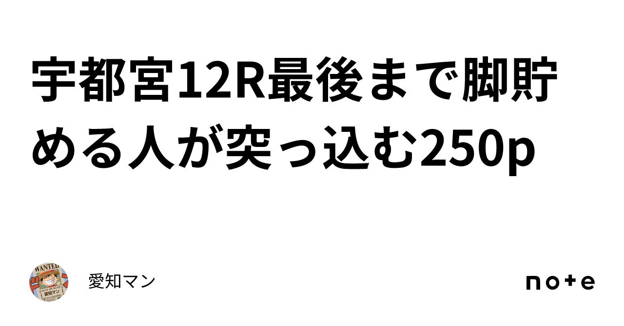 宇都宮12R最後まで脚貯める人が突っ込む250p｜愛知マン
