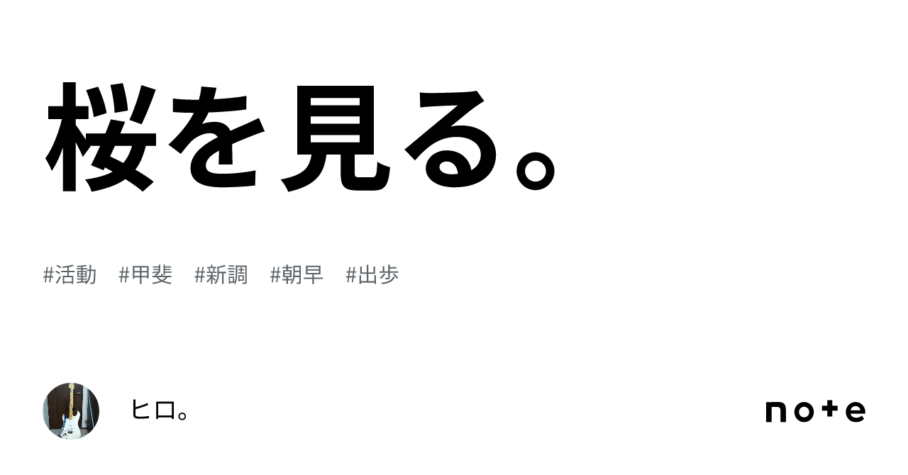 桜を見る。|ヒロ。