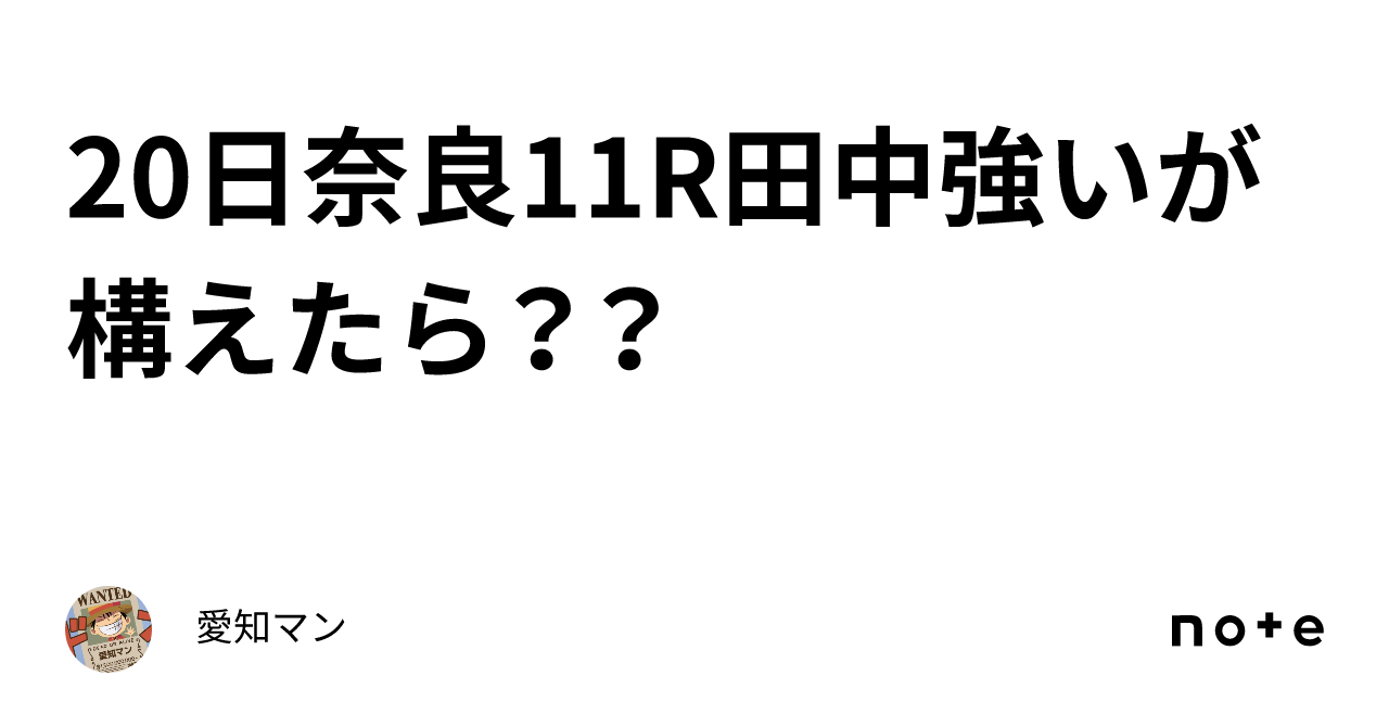 20日奈良11R田中強いが構えたら？？250p｜愛知マン
