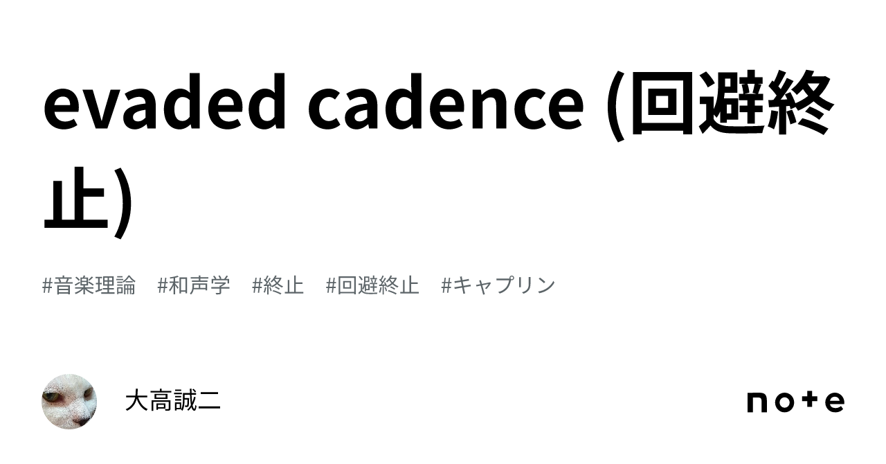 evaded cadence (回避終止)｜大高誠二 (Ootaka Seiji)
