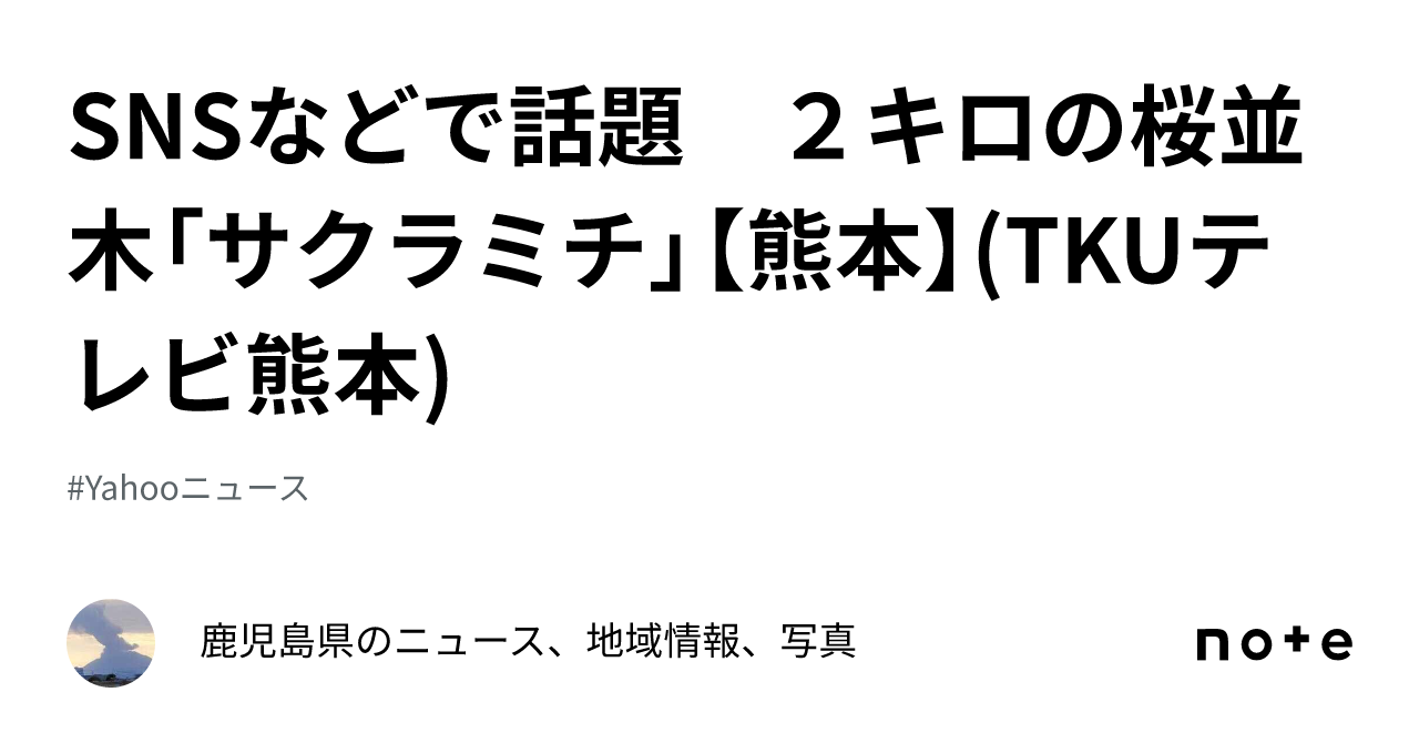 SNSなどで話題 2キロの桜並木「サクラミチ」【熊本】(TKUテレビ熊本)｜鹿児島県のニュース、地域情報、写真