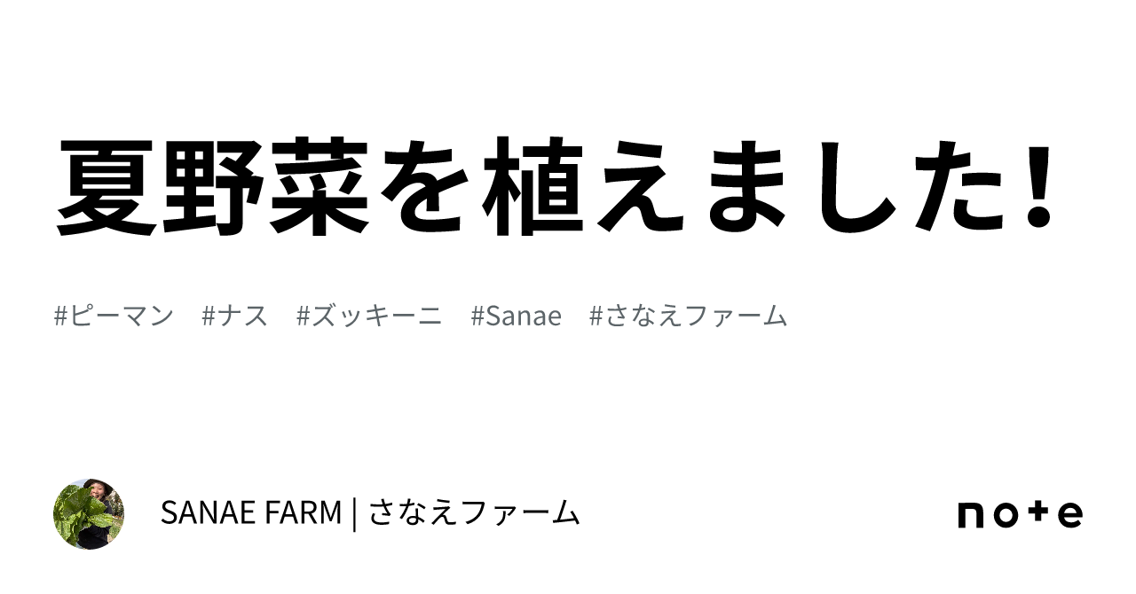 夏野菜を植えました！🍆🫑🥒🍅🌞｜SANAE FARM | さなえファーム