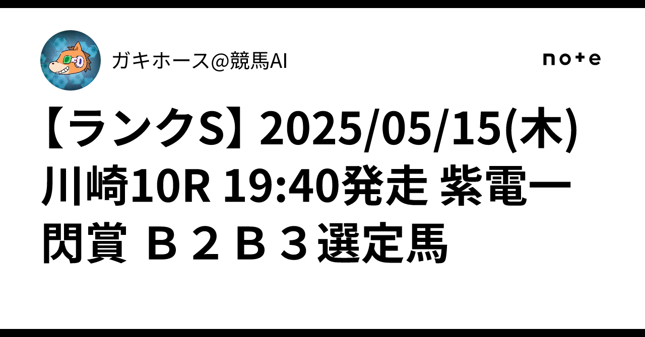 【ランクS】 2025/05/15(木) 川崎10R 19:40発走 紫電一閃賞 B2B3選定馬｜ガキホース@競馬AI