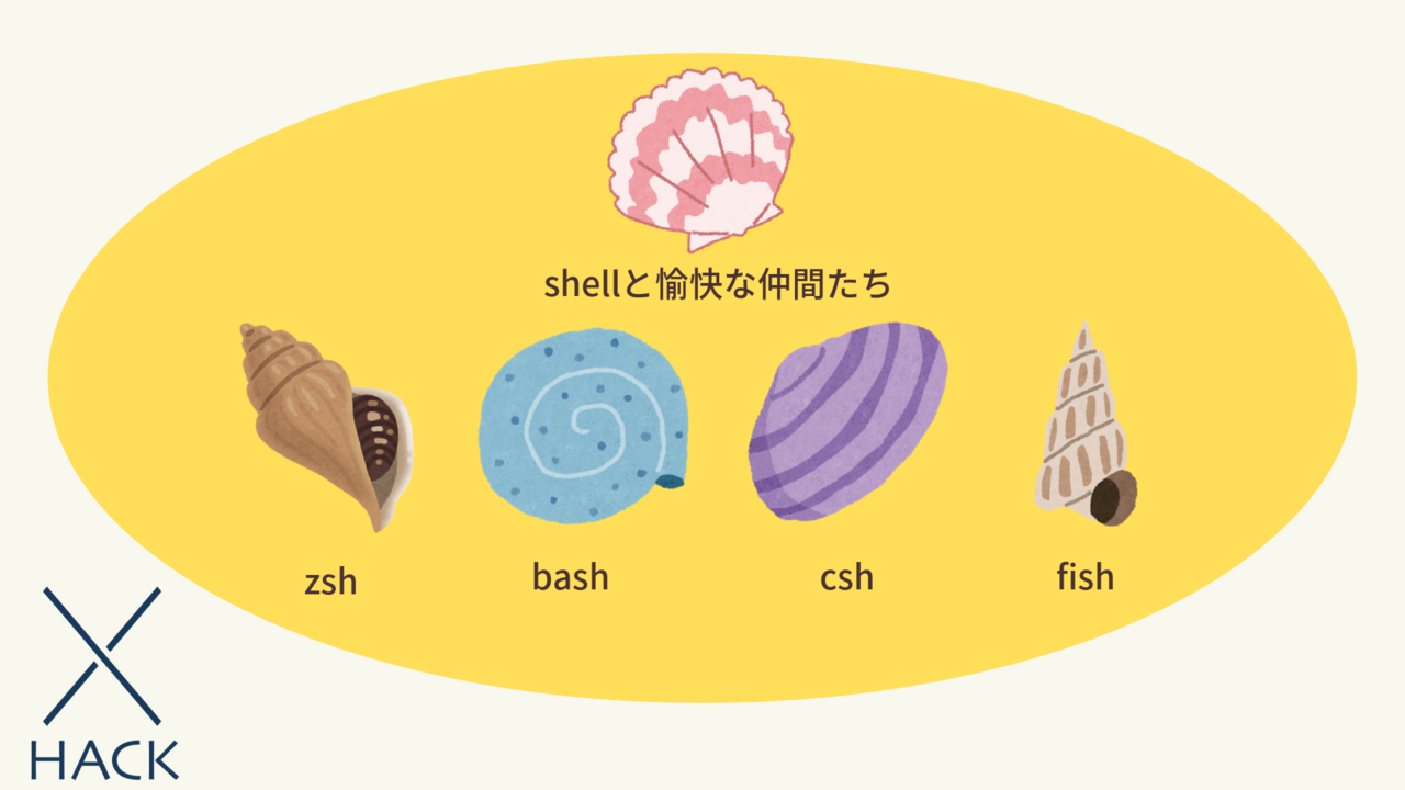 【超ざっくり解説シリーズ3】シェル(Shell)とは？シェルについて初心者にもわかりやすく解説するよ｜とよもも｜note