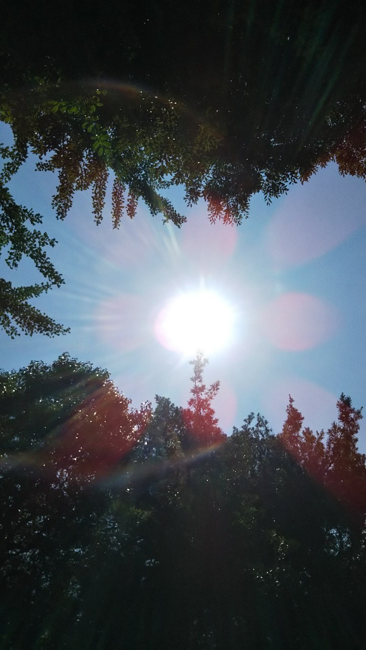 kin42 月の月1日｜TOMOchan｜note