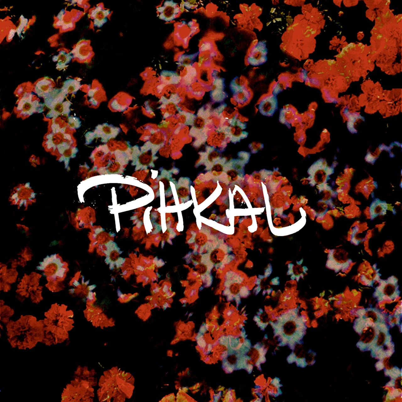 Elliot Adamson『PiHKAL』｜近藤 真弥