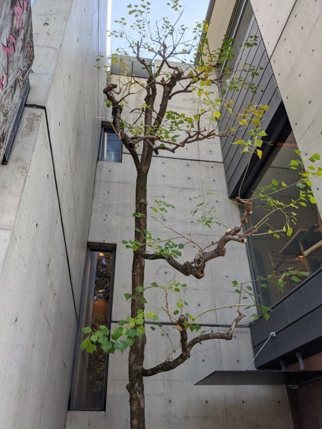 隙間と小路を探して～画像集34｜ichiro70