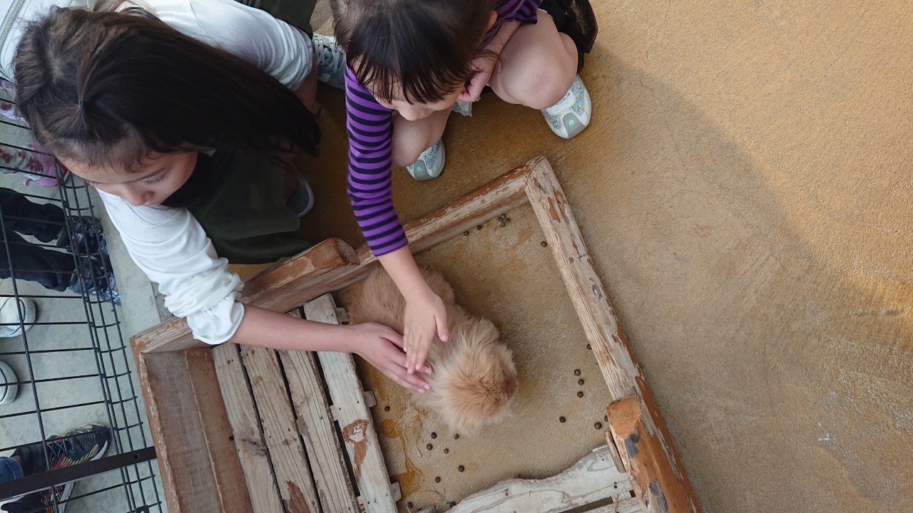 不安の果てには何が⁉️｜Takeuchi Kouichi｜note