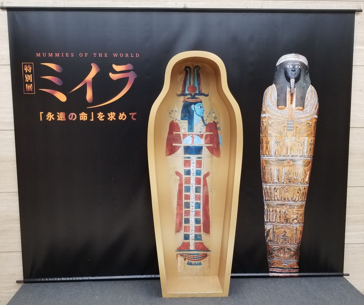 ミイラ 2020年2月14日｜阿部 隆夫