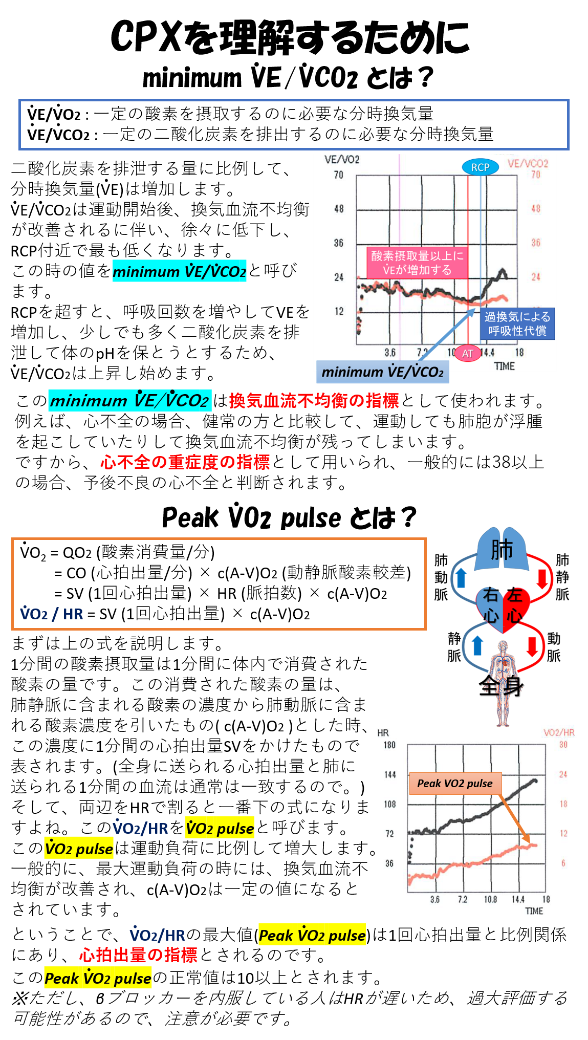 CPXを理解するために ～minimum VE/VCO2、Peak VO2 pulse とは～｜ぬるまゆ｜note