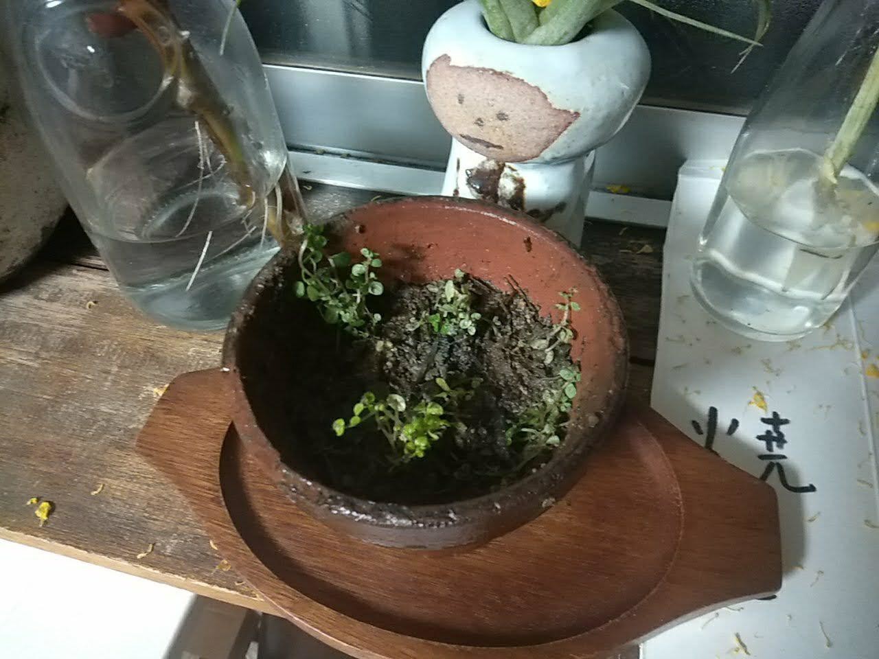 子供に教えたことを教え返される｜大久保商店｜note