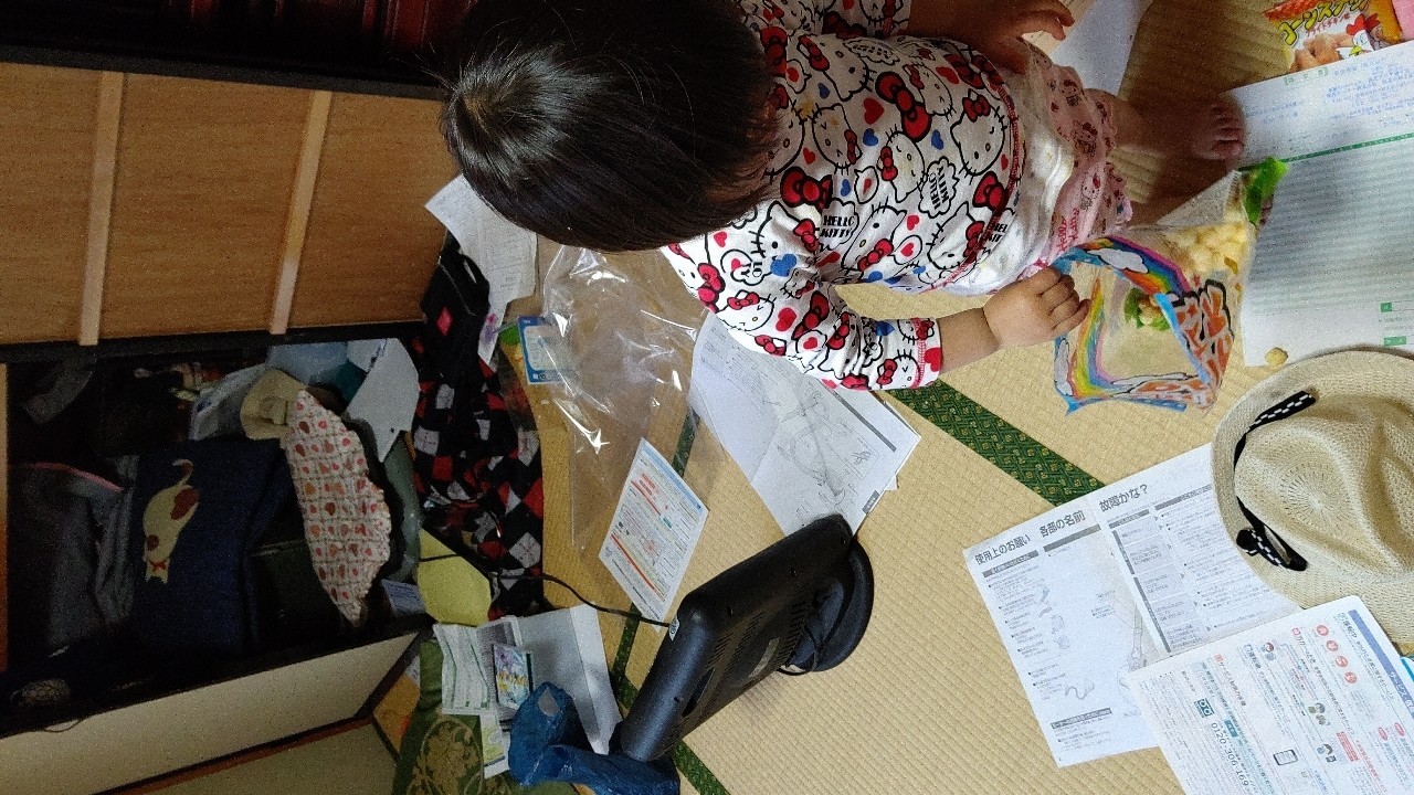 見事、散らかしました！｜みーちょん