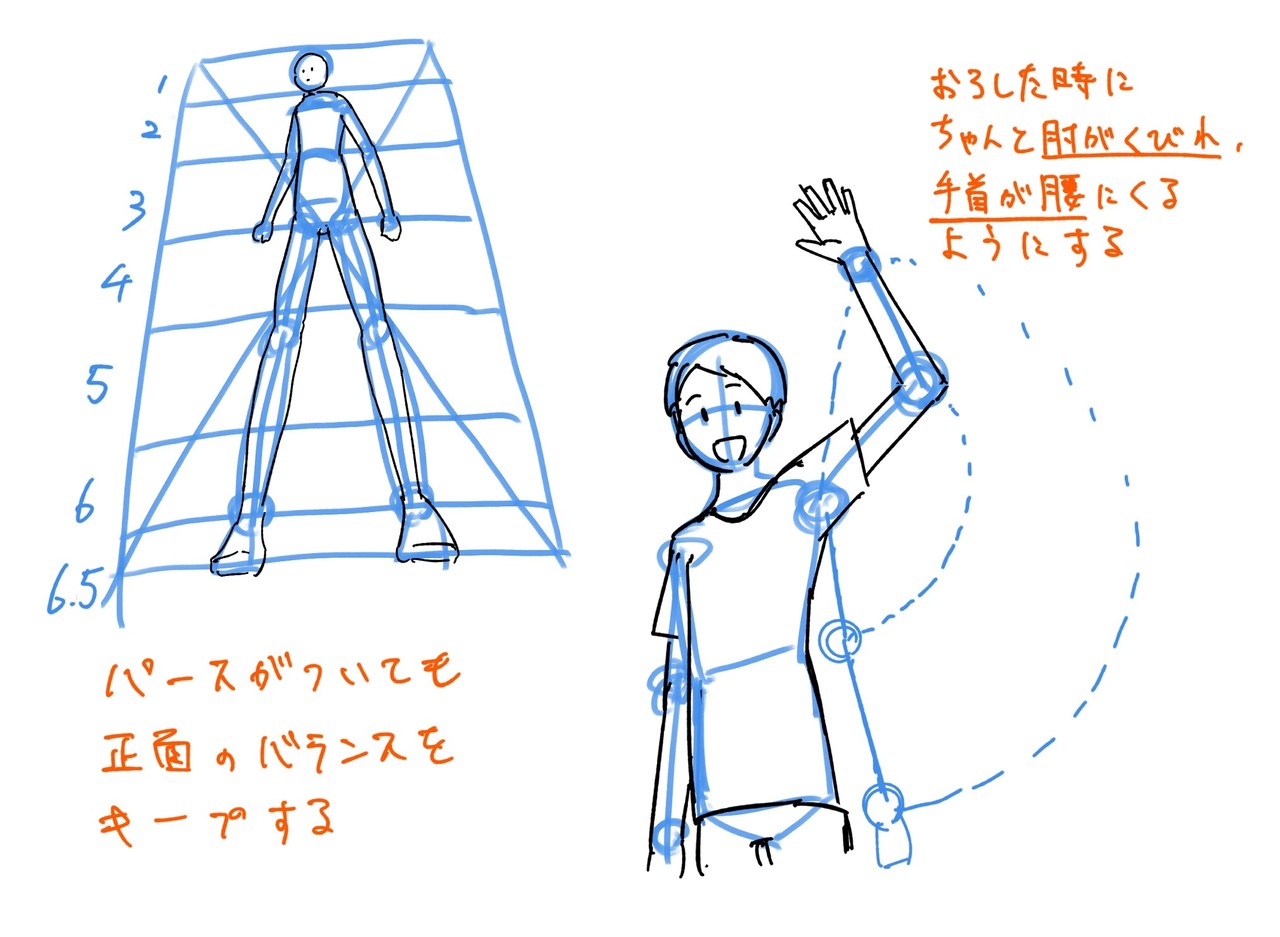 人体の作画【人体のバランス】|jo|note