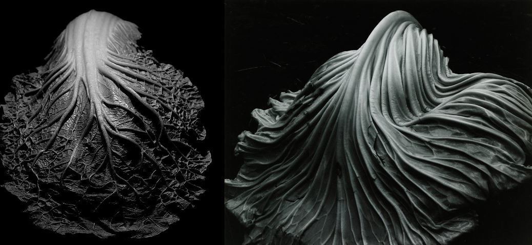 写真家Edward Westonと「Group f/64」｜artoday - chiaki｜note