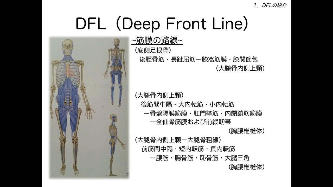 《Anatomy Trains》 ~Deep Front Line①~｜k_rocky｜note
